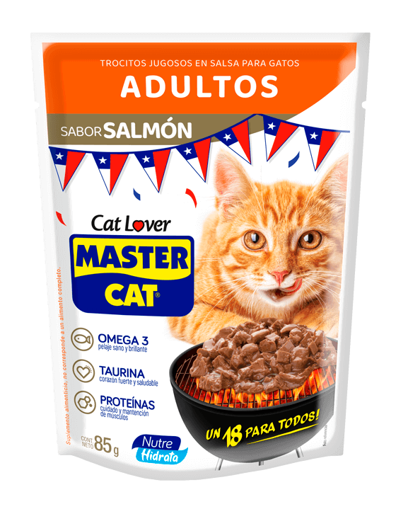 Master Cat
