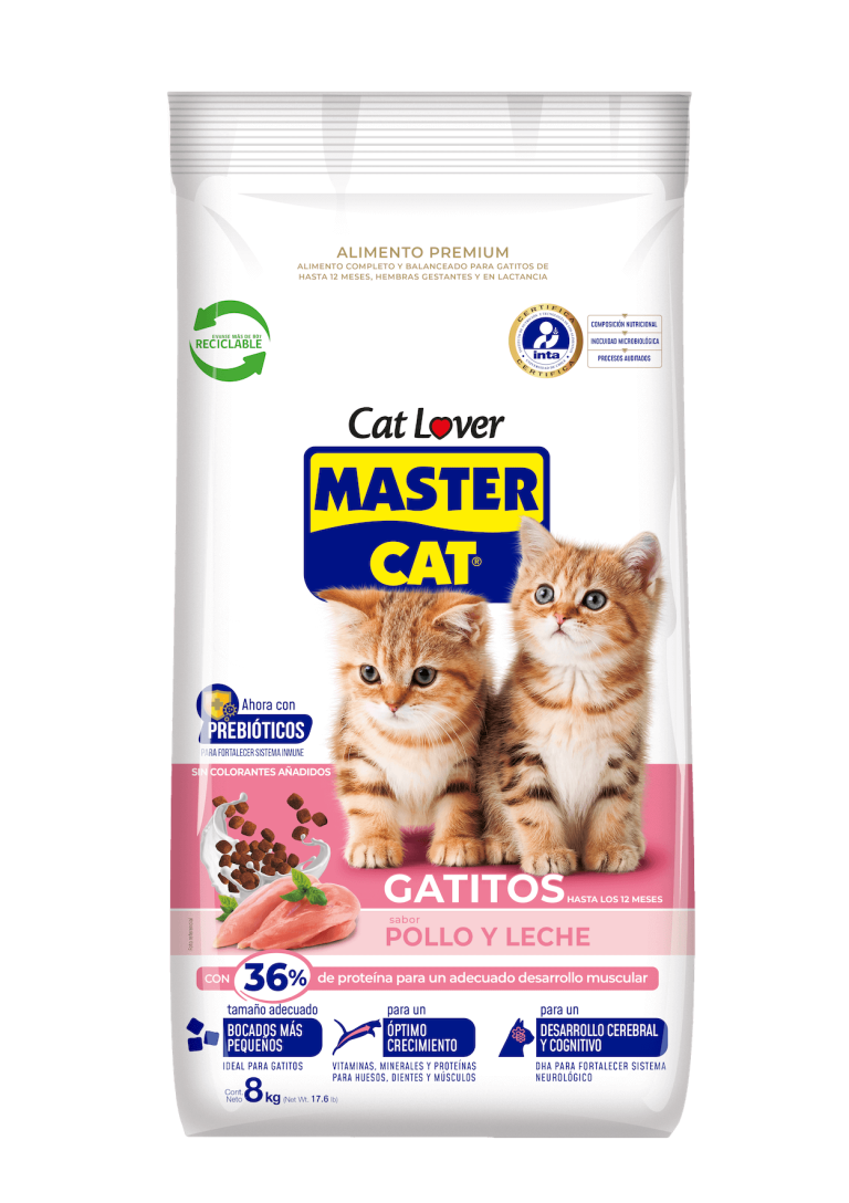 Master Cat
