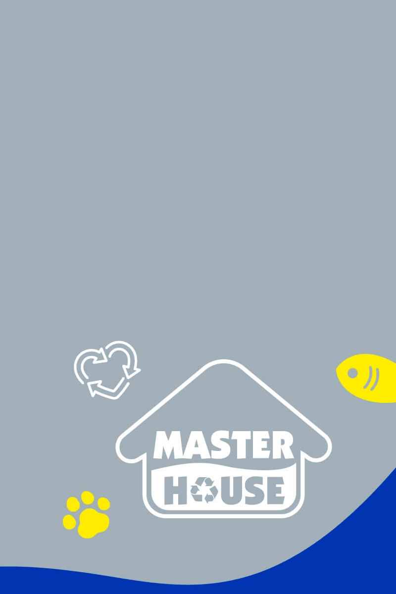 Master Cat Logo
